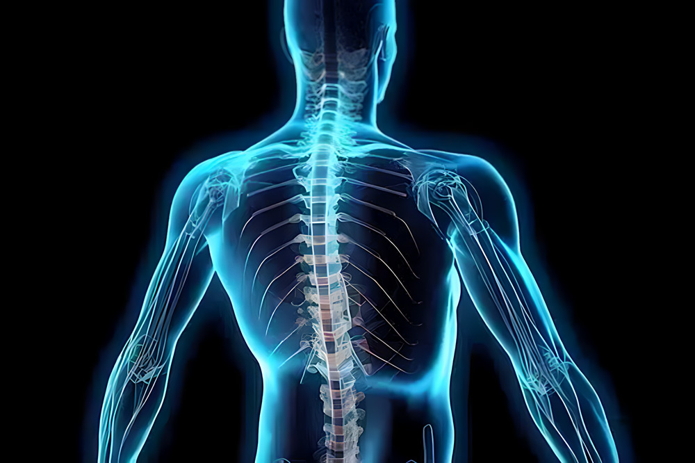 Choose Back Pain Relief: Microdiscectomy or Disc Replacement?